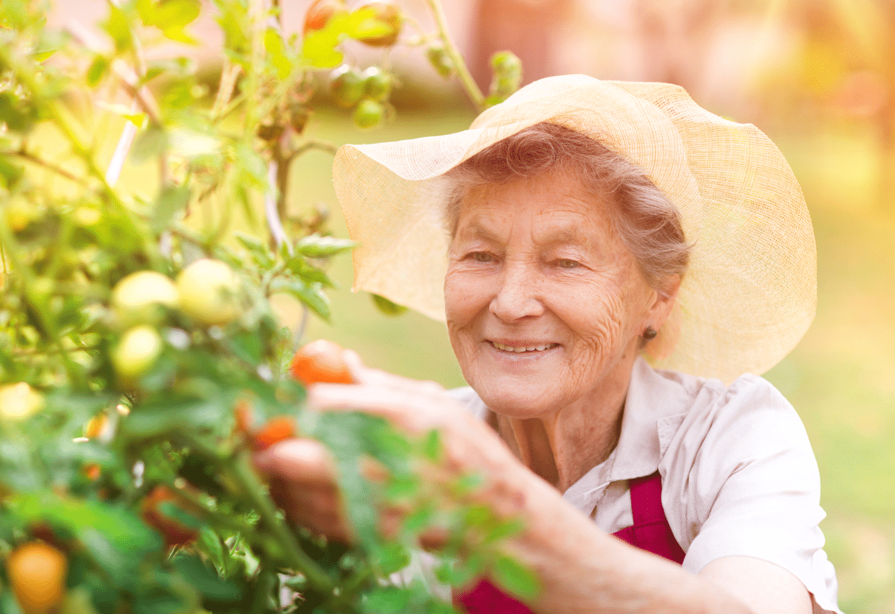 Fun And Safe Summer Activities For Seniors Eden Senior Care fun-and-safe-summer-activities-for-seniors-eden-senior-care
